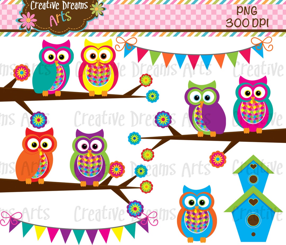 Color Owl Clipart Instant Download - Etsy