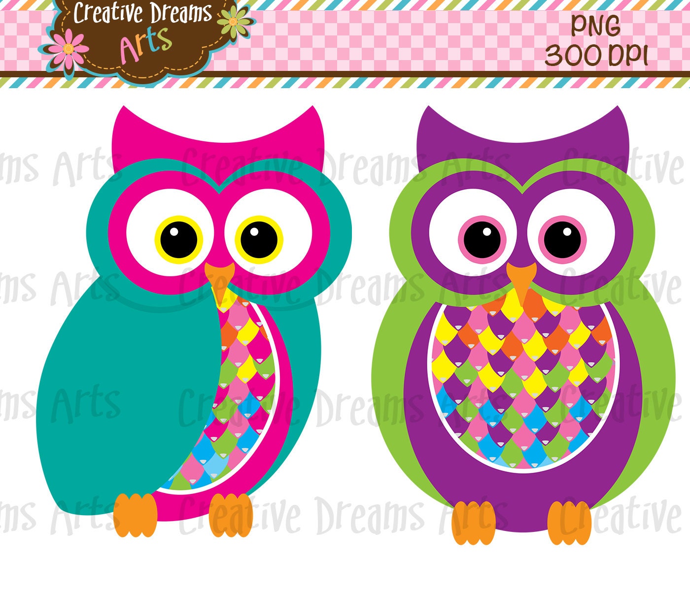 Color Owl Clipart Instant Download - Etsy