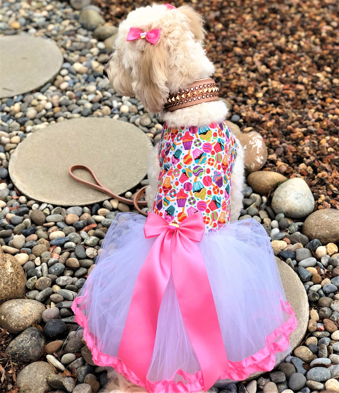 Cupcake Dog Harness Dress, Birthday Dog Dress, Tutu Dog Dress, Dog ...