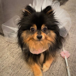 Blush Pink 3D Flowers Dog Dress, Blush Harness Dress, Dog Wedding Dress ...