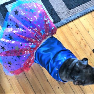 Star Spangled Girl Dog Harness Dress Xxsmall to 4xlarge Dog Dress, Dog ...