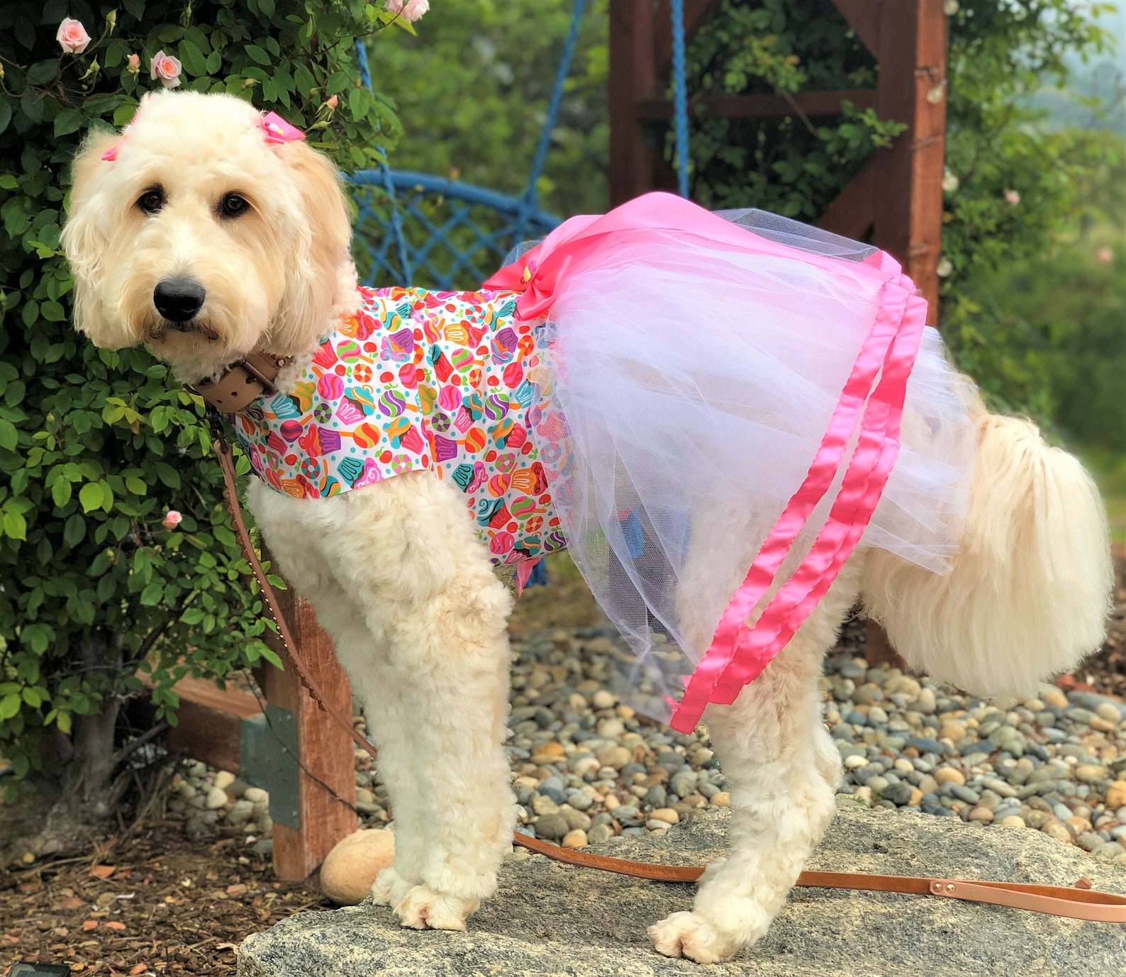 Cupcake Dog Harness Dress Birthday Dog Dress Tutu Dog Dress. | Etsy