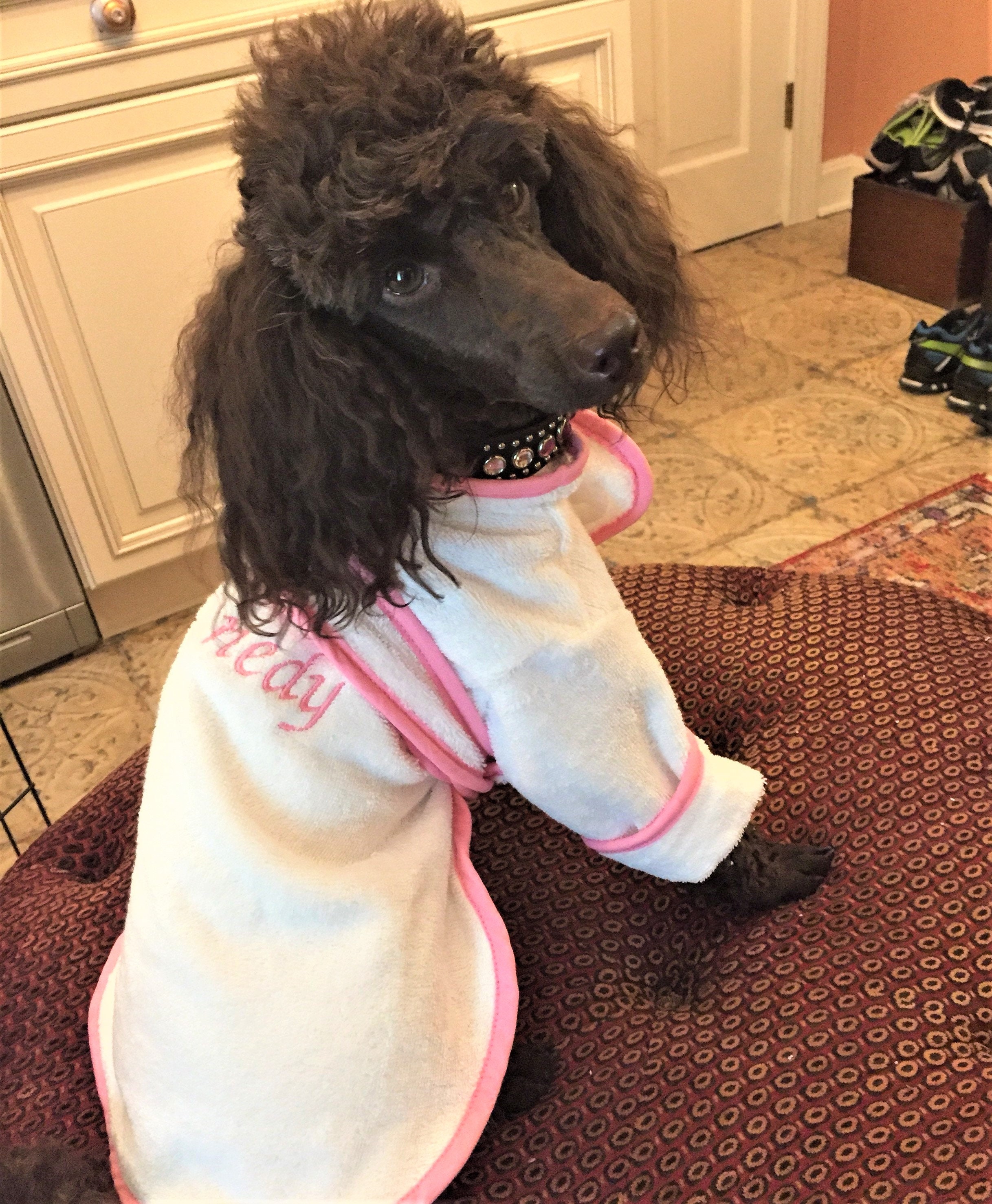 Personalized Girl Dog Bathrobe, Canine Bathrobe, Dog Bathrobe, Female ...