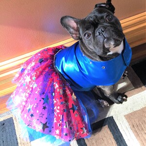 Star Spangled Girl Dog Harness Dress Xxsmall to 4xlarge Dog Dress, Dog ...