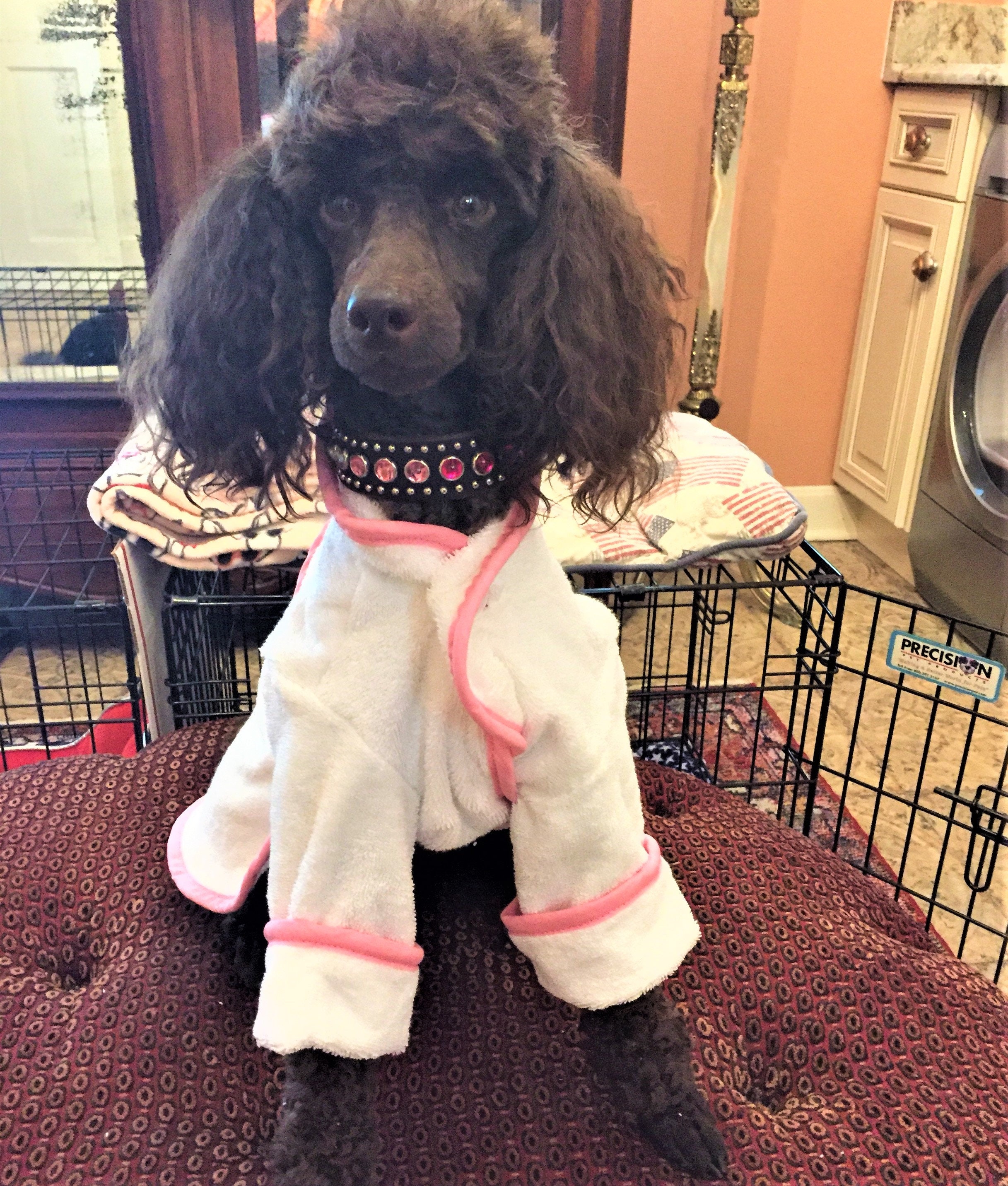 Personalized Girl Dog Bathrobe, Canine Bathrobe, Dog Bathrobe, Female ...