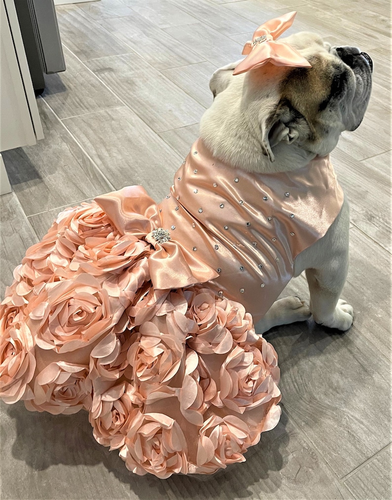 Pink Dog Dress Rose Gold Dog Dress Wedding Dog Dress Dog - Etsy