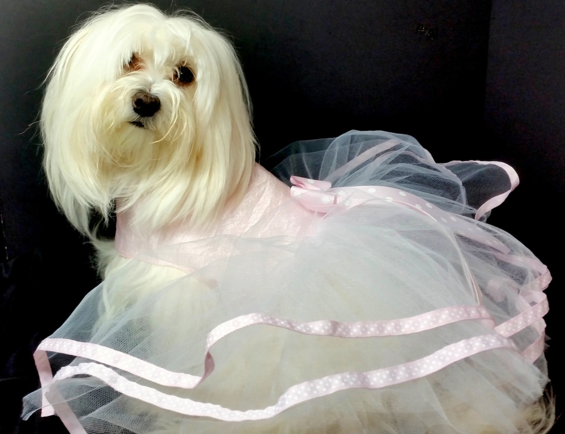 Dog Dress, Dog Harness, Pink Dog Dress, Tutu Dog Dress. Dog Harness ...