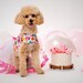 Cupcake Dog Harness Dress, Birthday Dog Dress, Tutu Dog Dress. Dog ...
