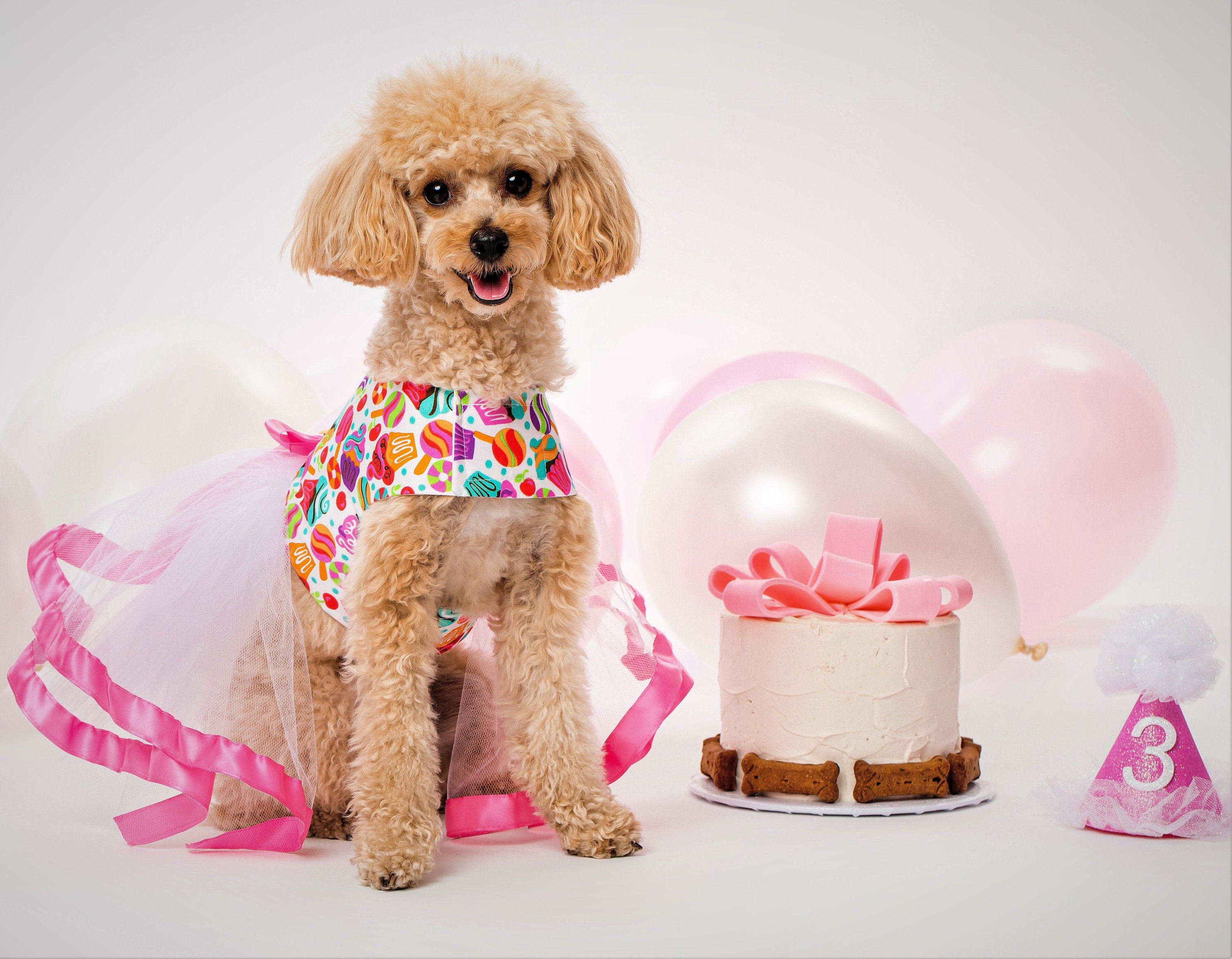 Cupcake Dog Harness Dress, Birthday Dog Dress, Tutu Dog Dress, Dog ...