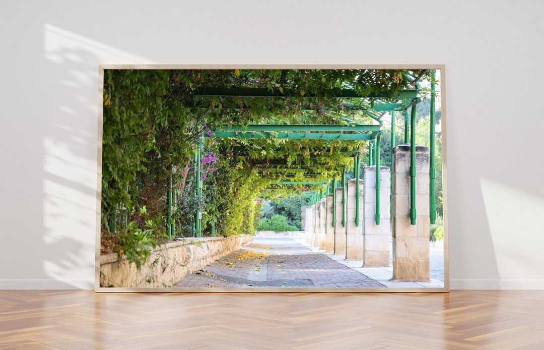 Jerusalem Green Pedestrian Street With Ivy and Flowers - German Colony ...