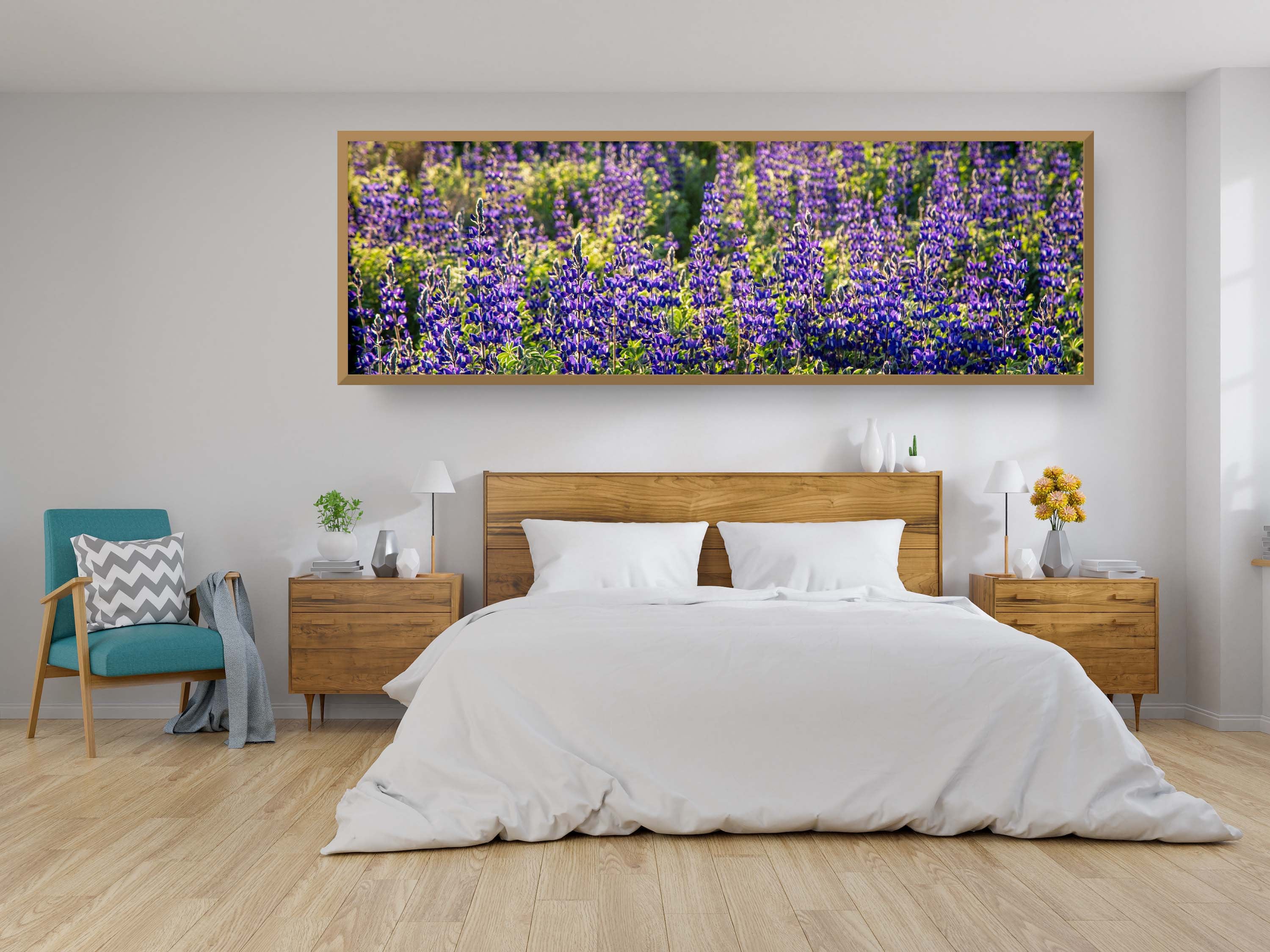 Color Photography Lupine Turmus Flowering Field Holy Land Panoramic ...