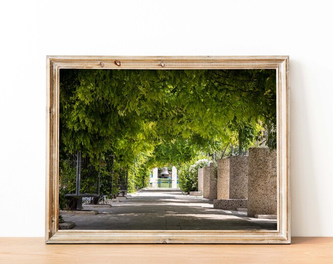 Jerusalem Green Trees Pedestrian Street With Ivy and Bell - Holy Land ...