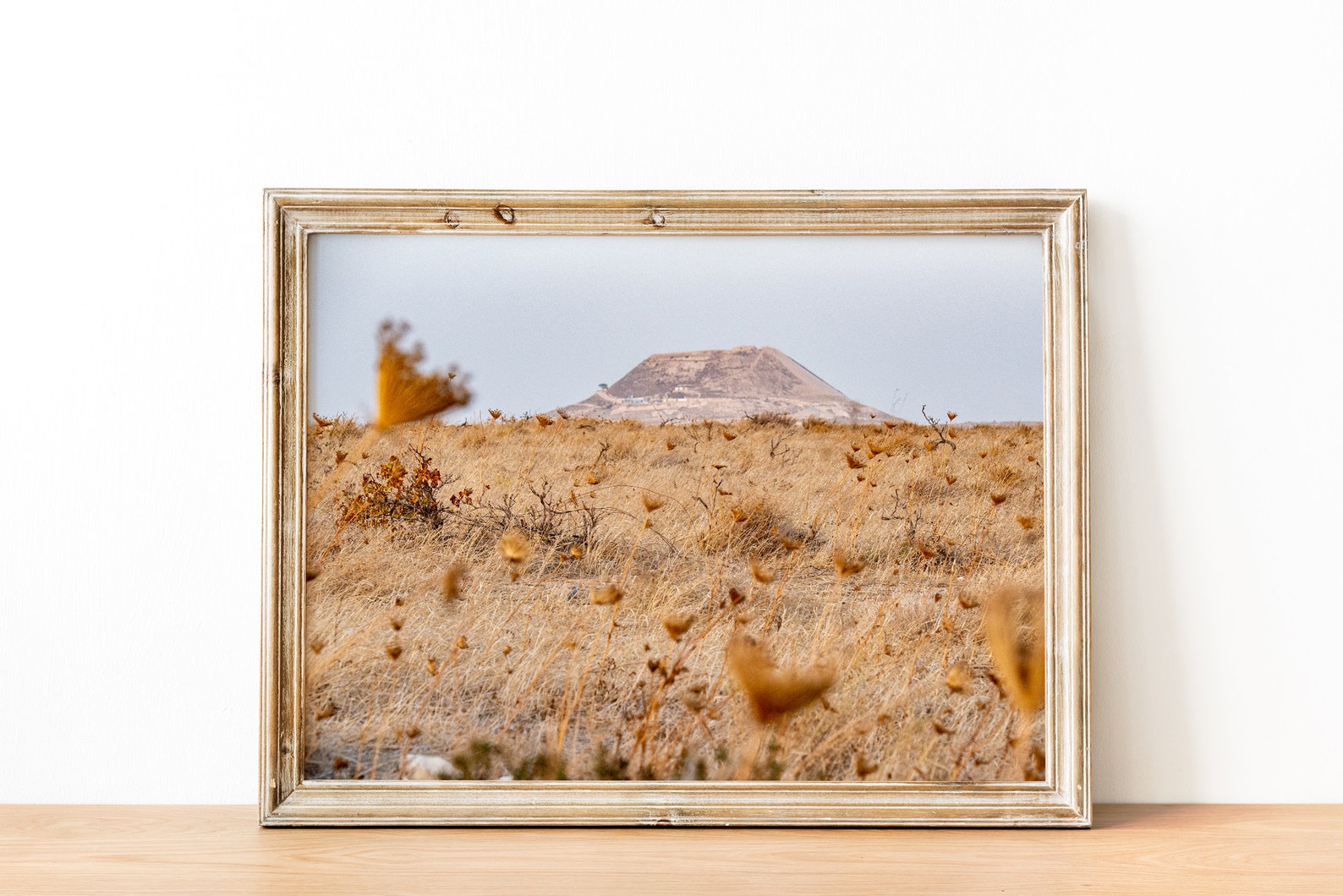 Israeli Mount Herodes Gold Landscape Photography With Sunset Field ...