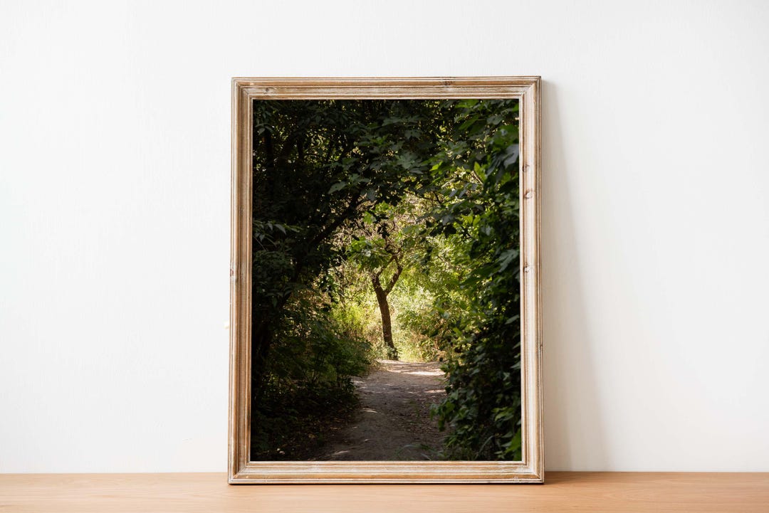 Holy Land Israeli Green Nature Path With Tree - Galilee Promised Land ...