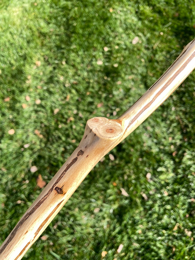Walking Stick #629 Pin Oak With Bark Surround - Etsy