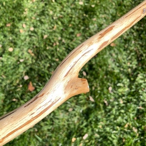 Walking Stick #629 Pin Oak With Bark Surround - Etsy