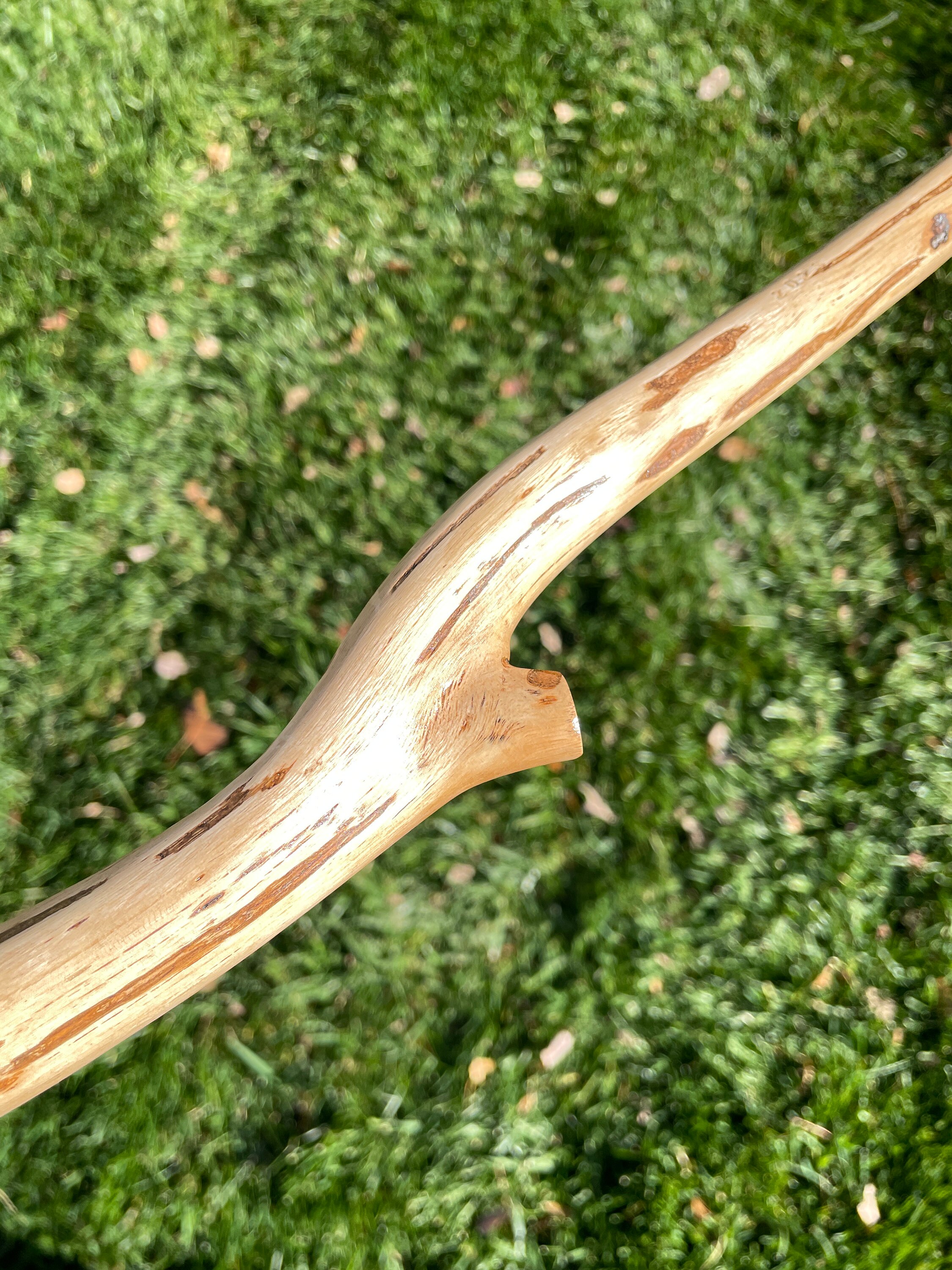 Walking Stick #629 Pin Oak With Bark Surround - Etsy