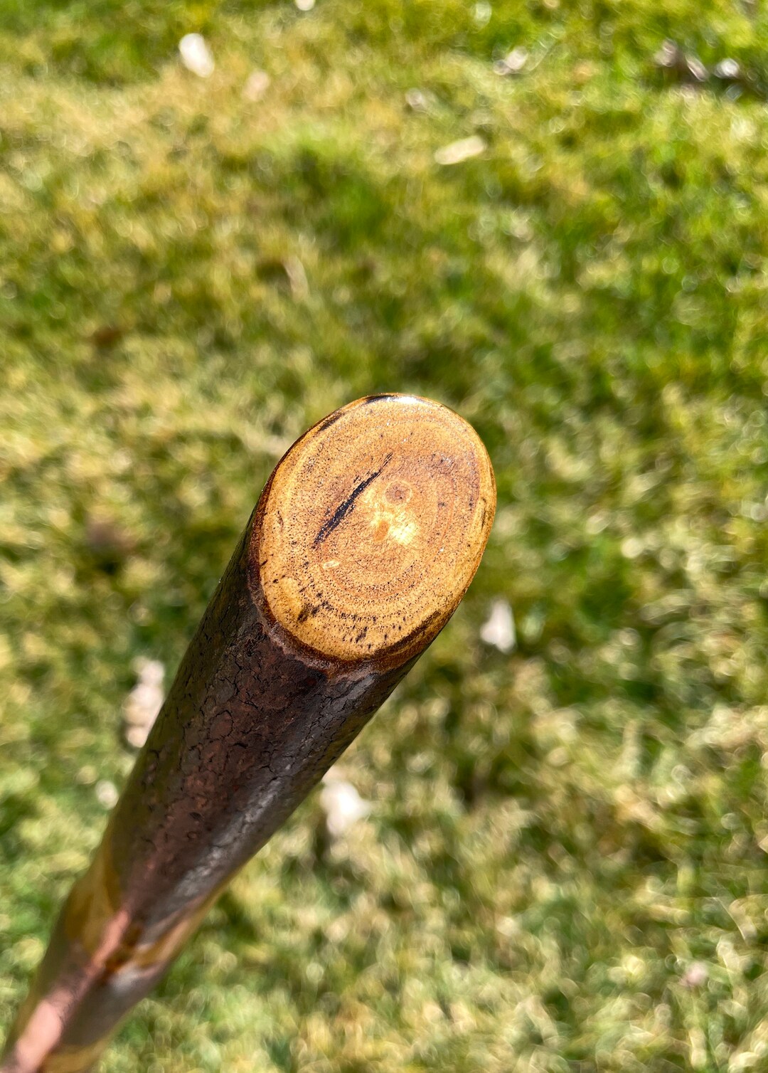 Walking Stick #668 Hickory With Bark Surrounds - Etsy
