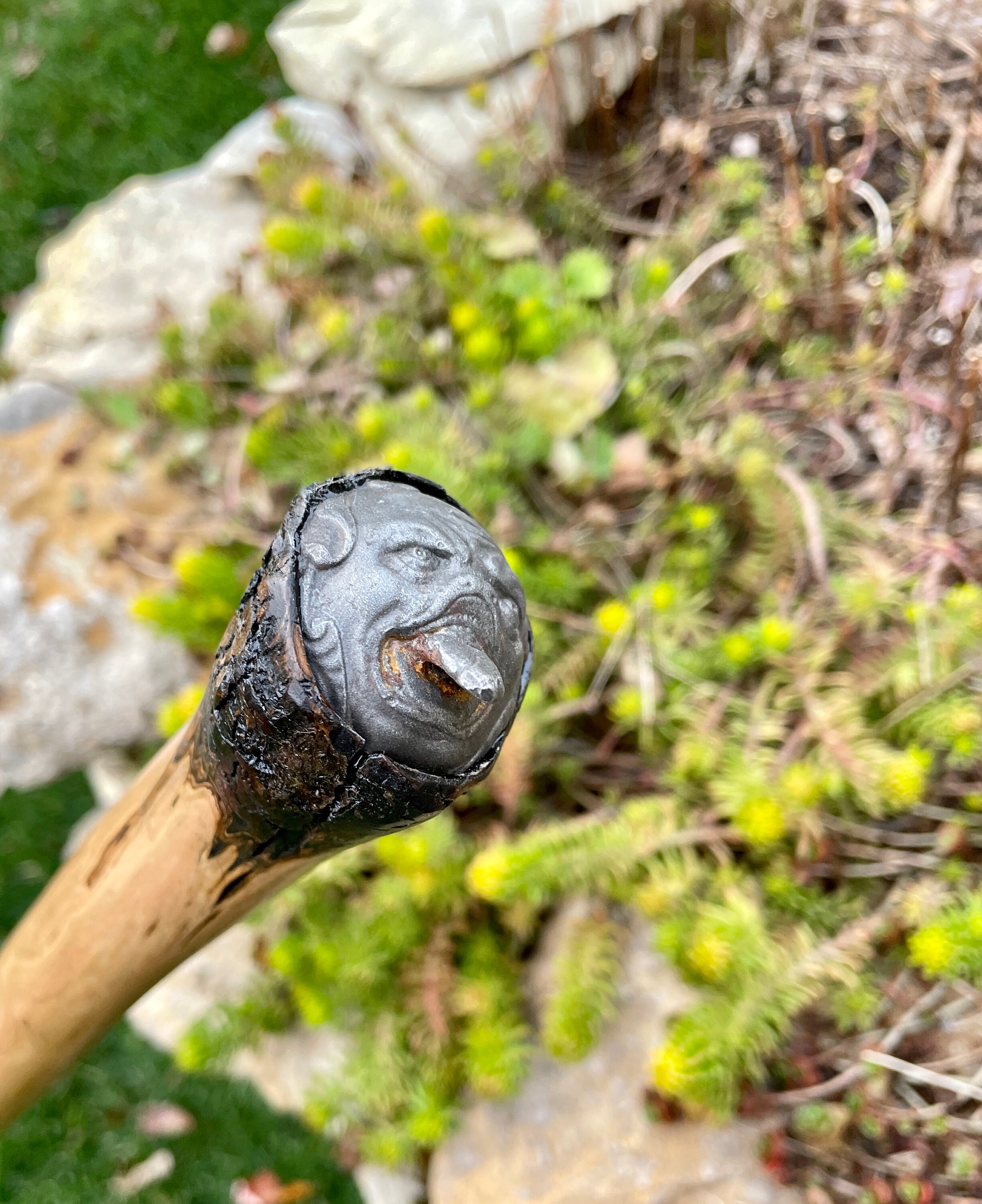 Walking Stick #628 Cast Iron Face on Bradford Pear - Etsy