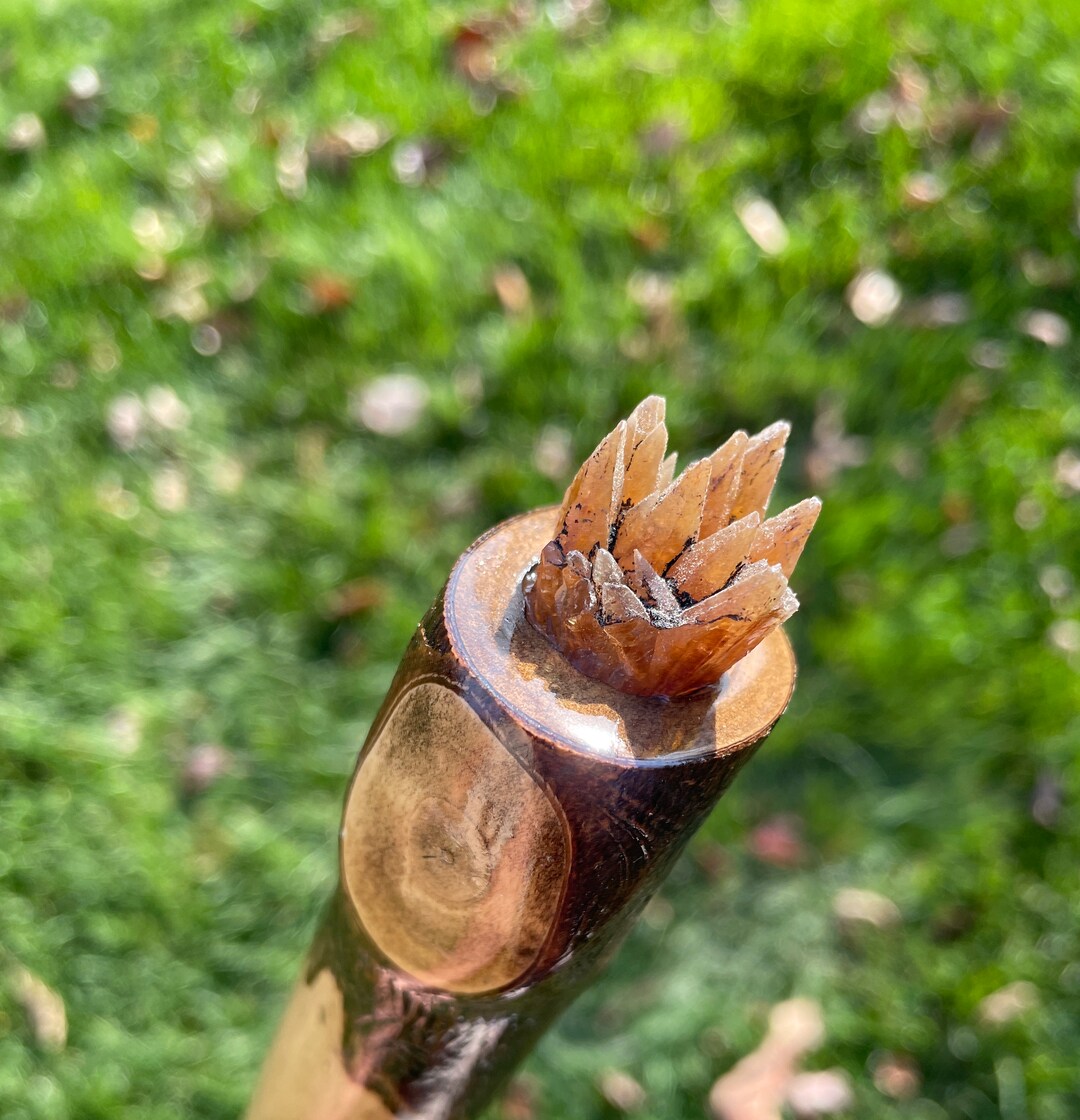 Walking Stick #606 Bradford Pear With Needle Calcite - Etsy