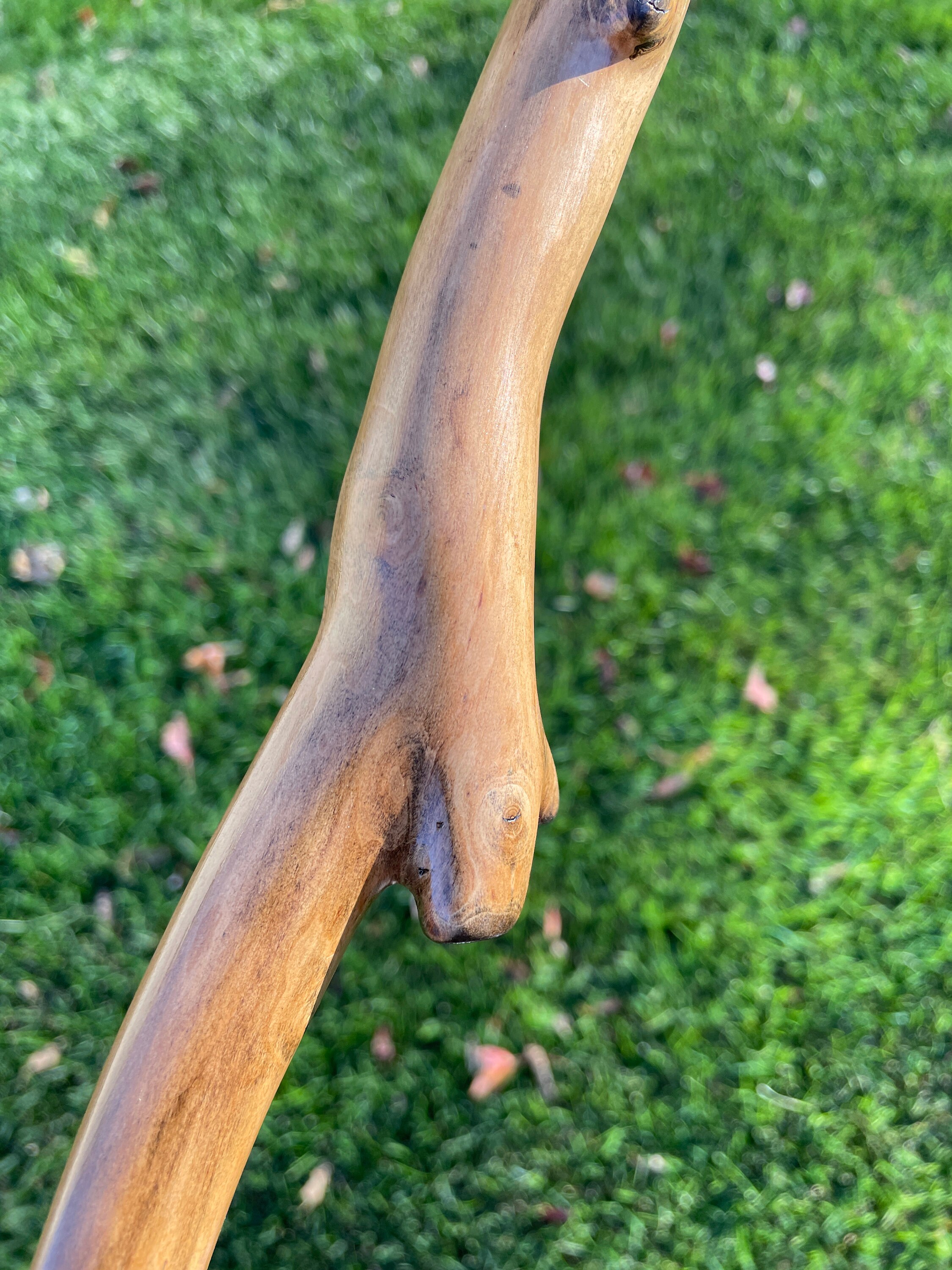 Walking Stick #628 Cast Iron Face on Bradford Pear - Etsy
