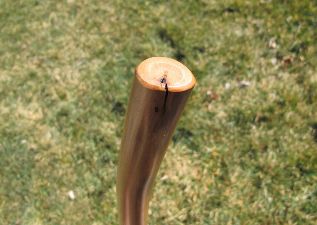 Walking Stick #534 Bradford Pear With a Stubby Branch - Etsy