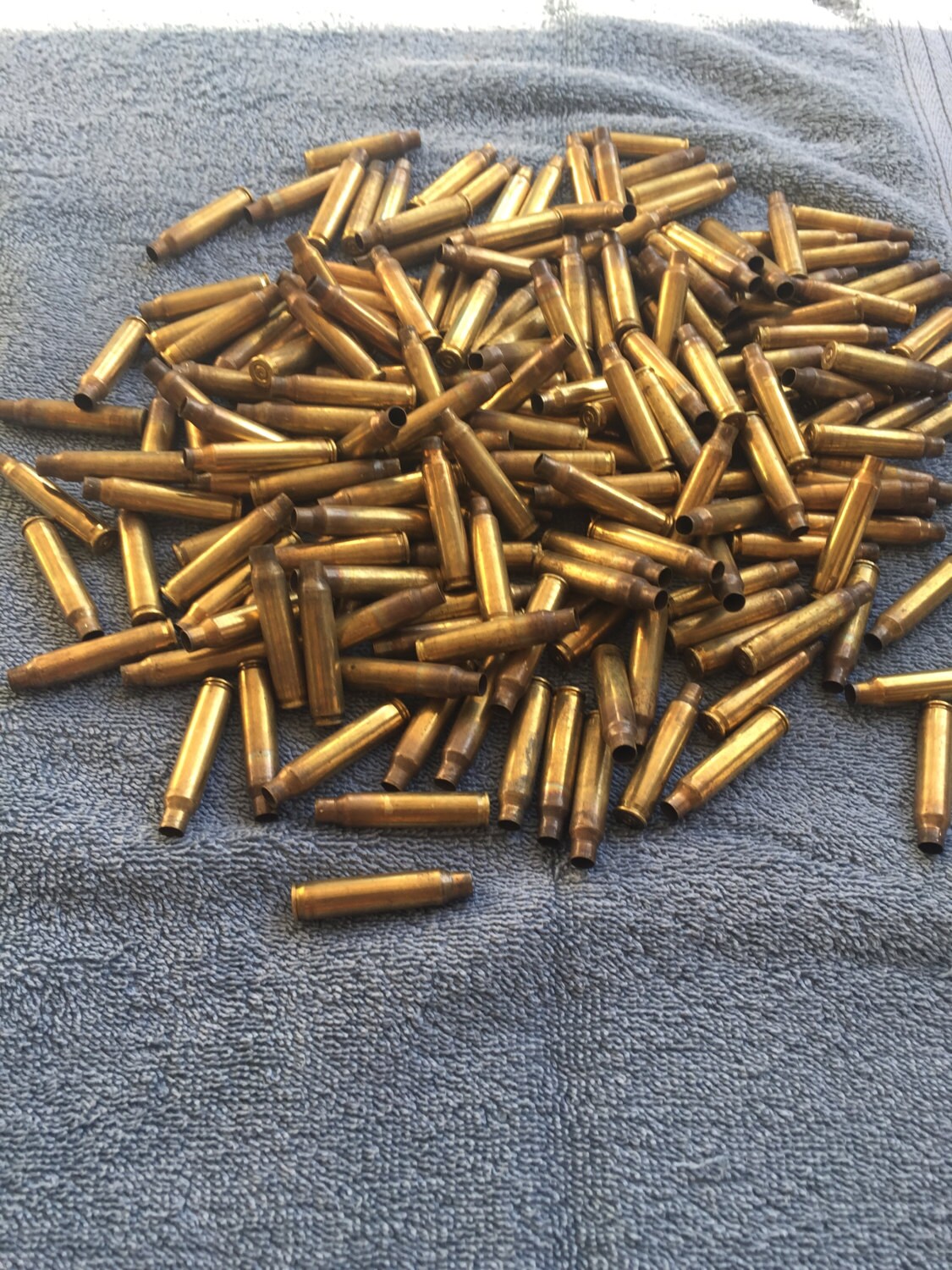 223 / 556 Caliber Brass Casings 500 or 1000 Unprocessed | Etsy