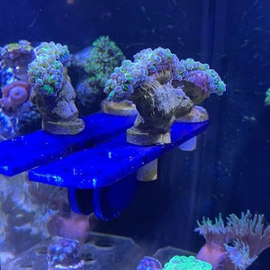 Magnetic Narrow Coral Frag Racks - 3d Printed in Petg (great for ...