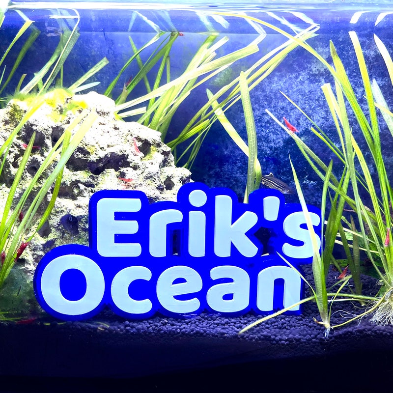 Fish Tank - Etsy