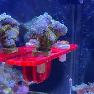 Magnetic Narrow Coral Frag Racks - 3d Printed in Petg (great for ...
