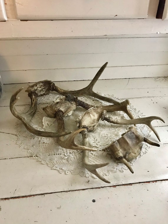 Vintage Antler Set of 4 Natural | Etsy