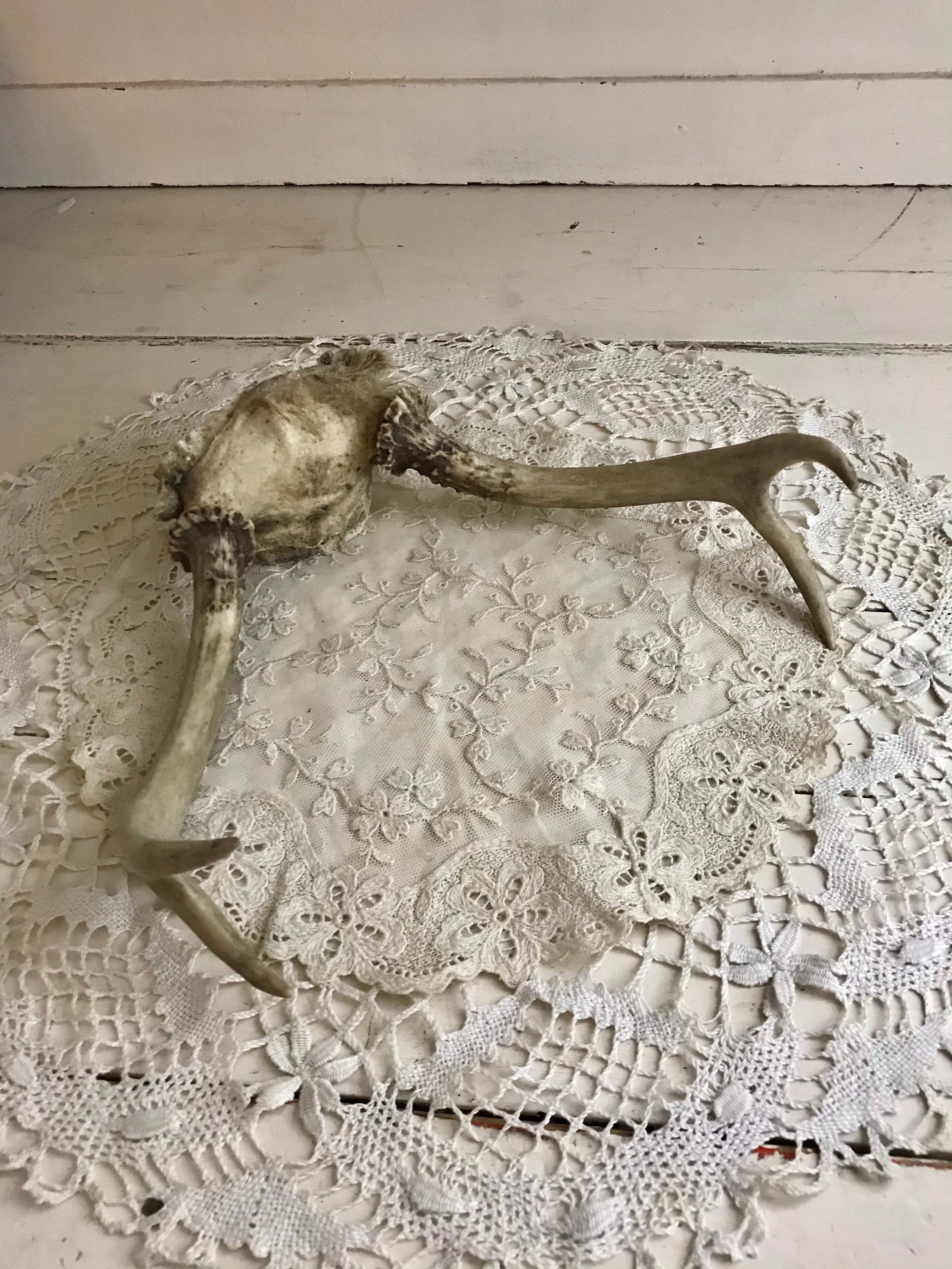 Vintage Antler Set of 4 Natural | Etsy