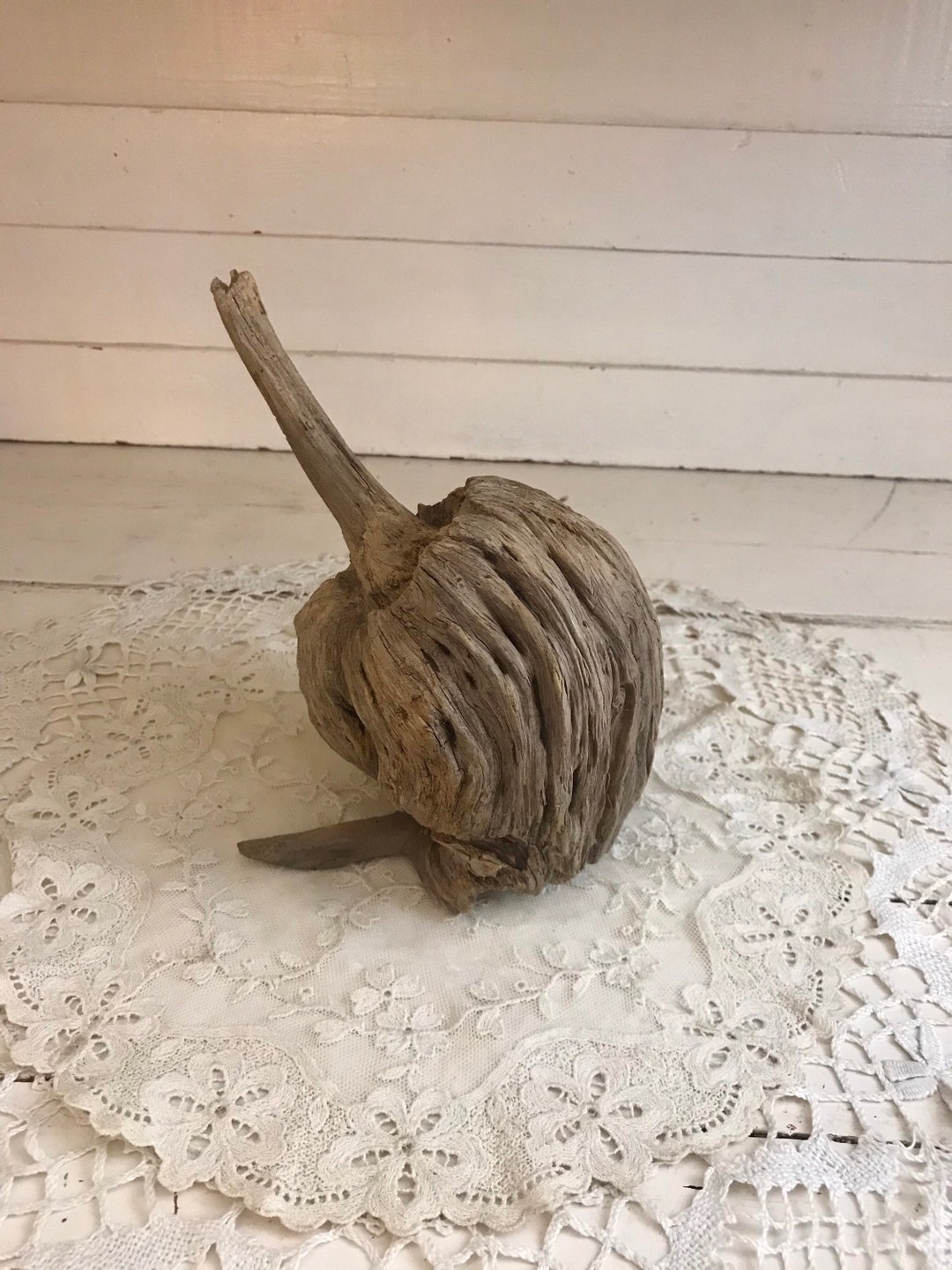 Unique Tree Apple Burl Fungus - Etsy