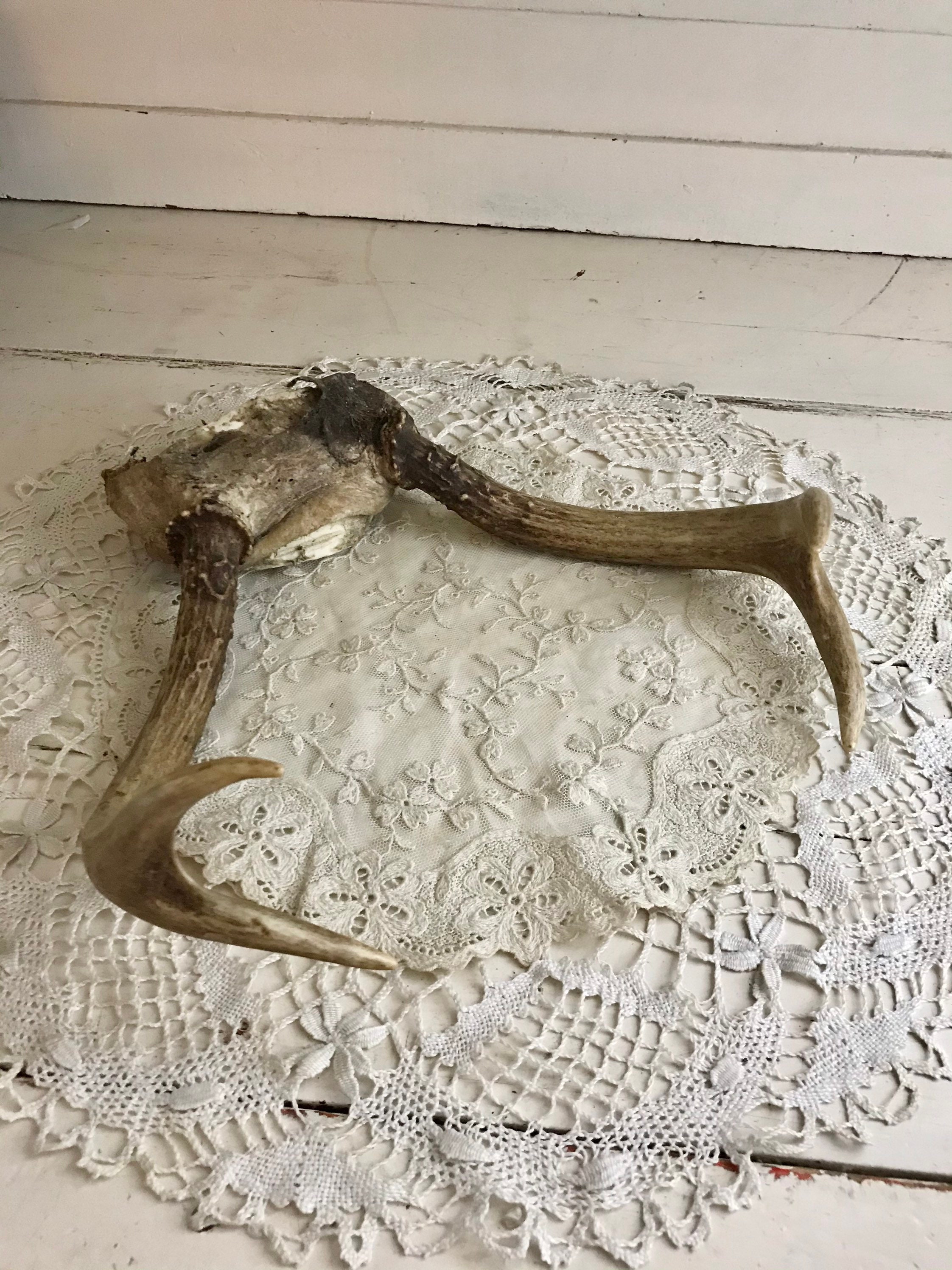Vintage Antler Set of 4 Natural | Etsy