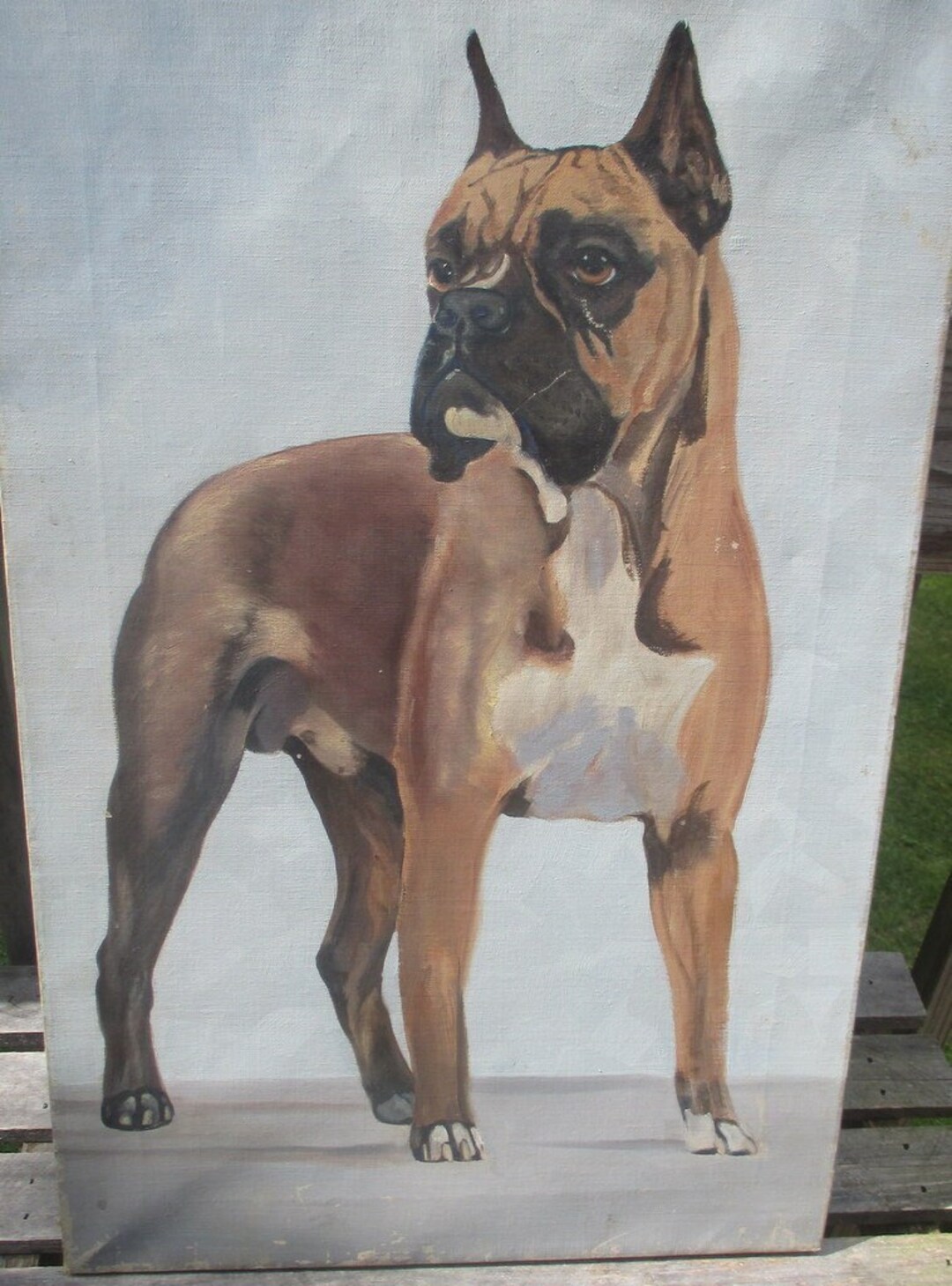 Male Boxer Dog Original Art - Etsy