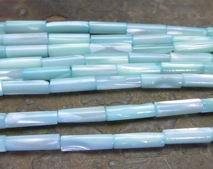 Natural Shell Cylinder Beads Abalone Shell Beads Paua Shell Jewellery ...
