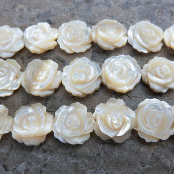 Engraved Shell - Etsy