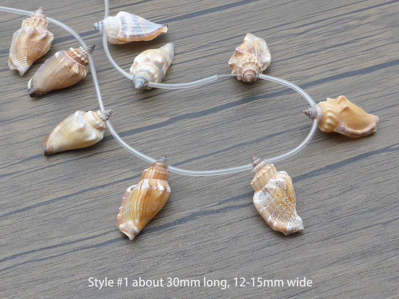 Sea Shell Pendants for Jewelry Making - Natural Seashells for Crafts ...