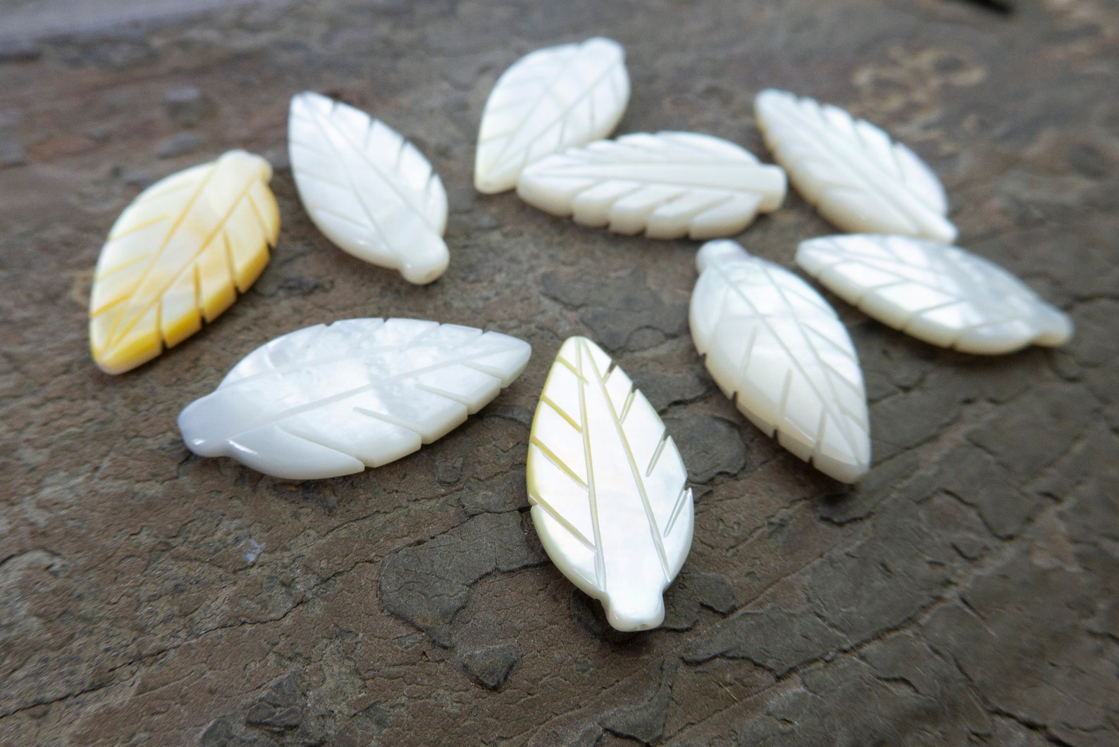Carved Shell Leaf Beads White Mother of Pearl Leaf Charms - Etsy