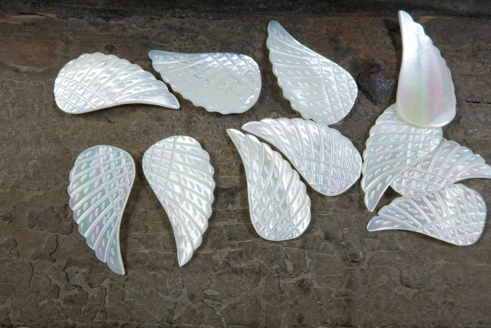 White Angel Wing Beads Carved Wing Charms Sea Shell - Etsy