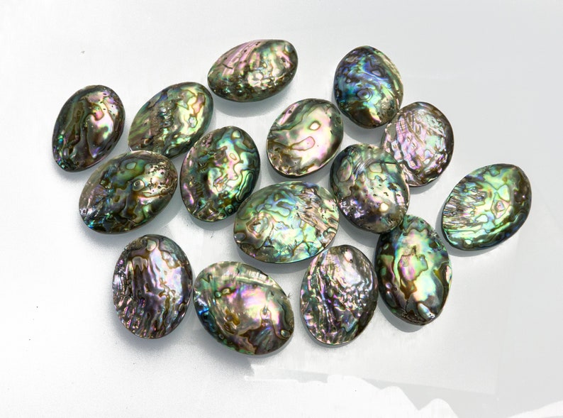 Abalone Shell Oval Pendant Purple Green Paua Shell Necklace - Etsy