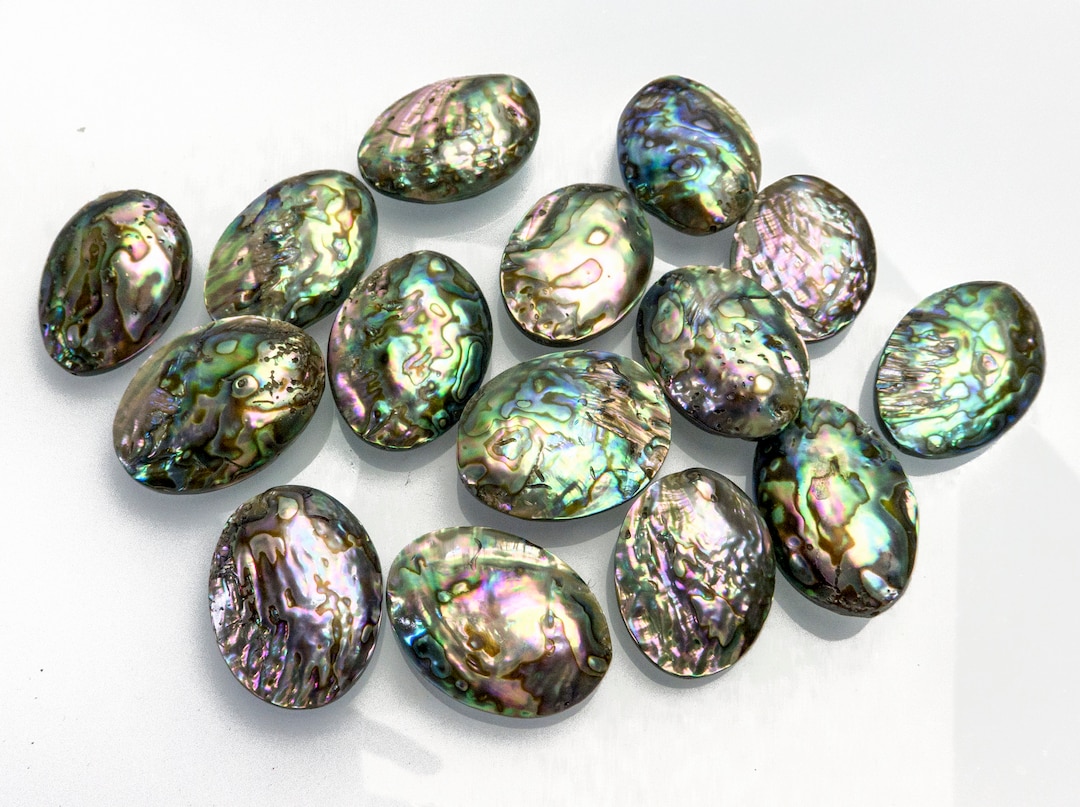 Abalone Shell Oval Pendant - Purple Green Paua Shell Necklace Pendant ...