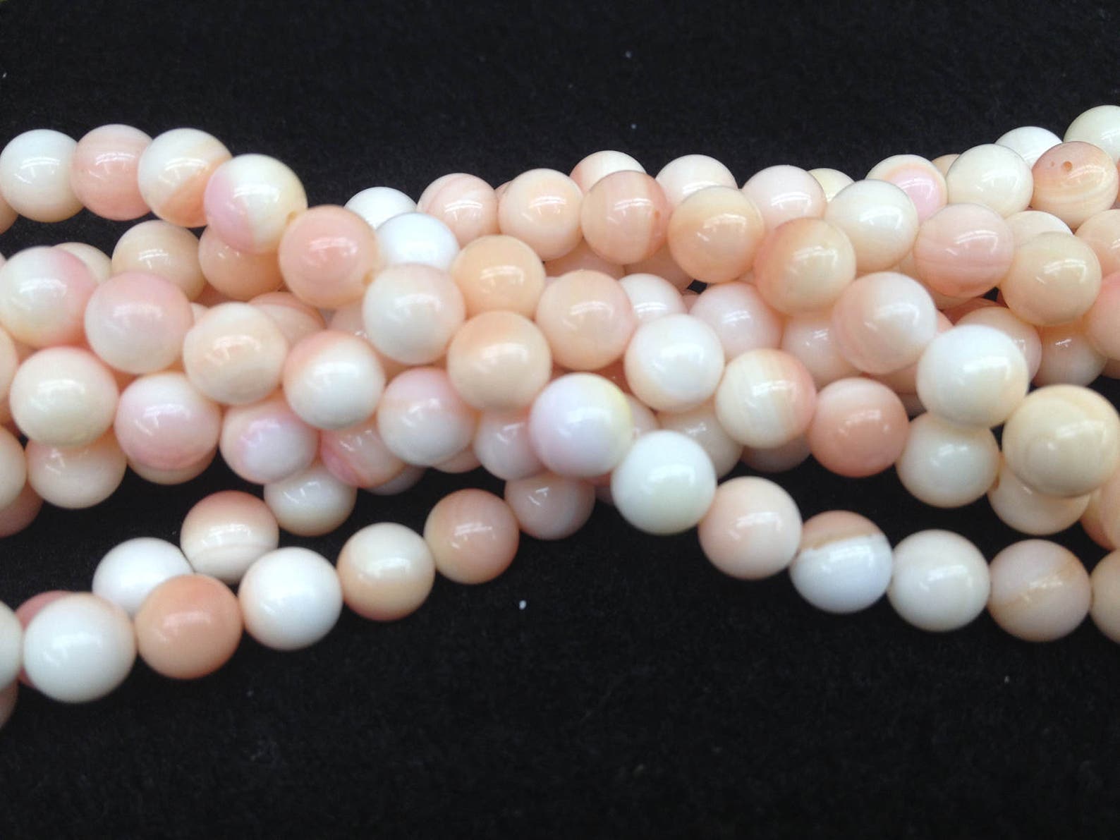 Pink Queen Conch Shell Beads Natural Top Quality Queen Conch - Etsy