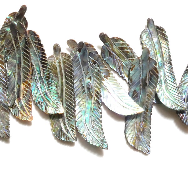 Shell Jewelry - Etsy