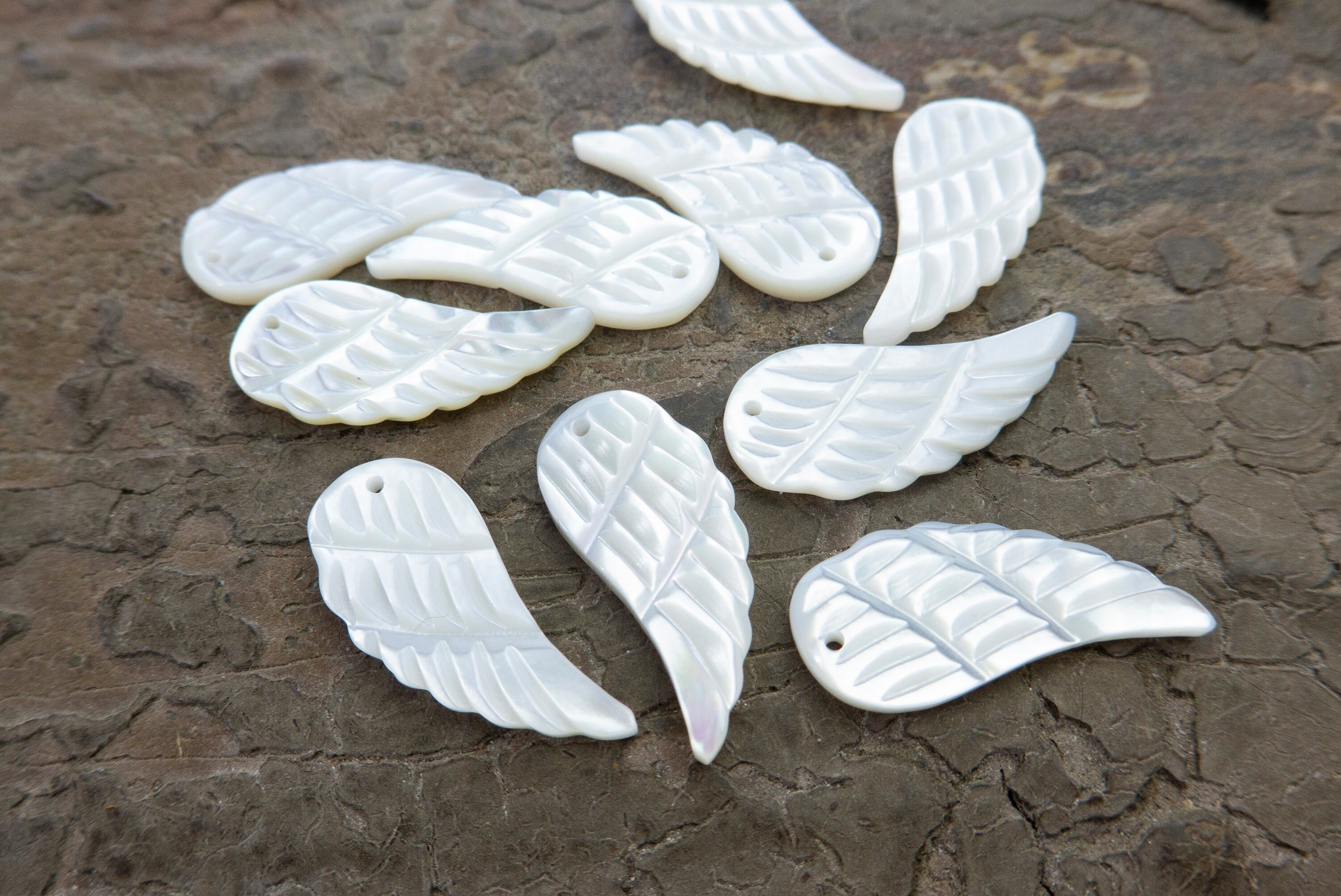 White MOP wing beads angle wing beads white mother of | Etsy
