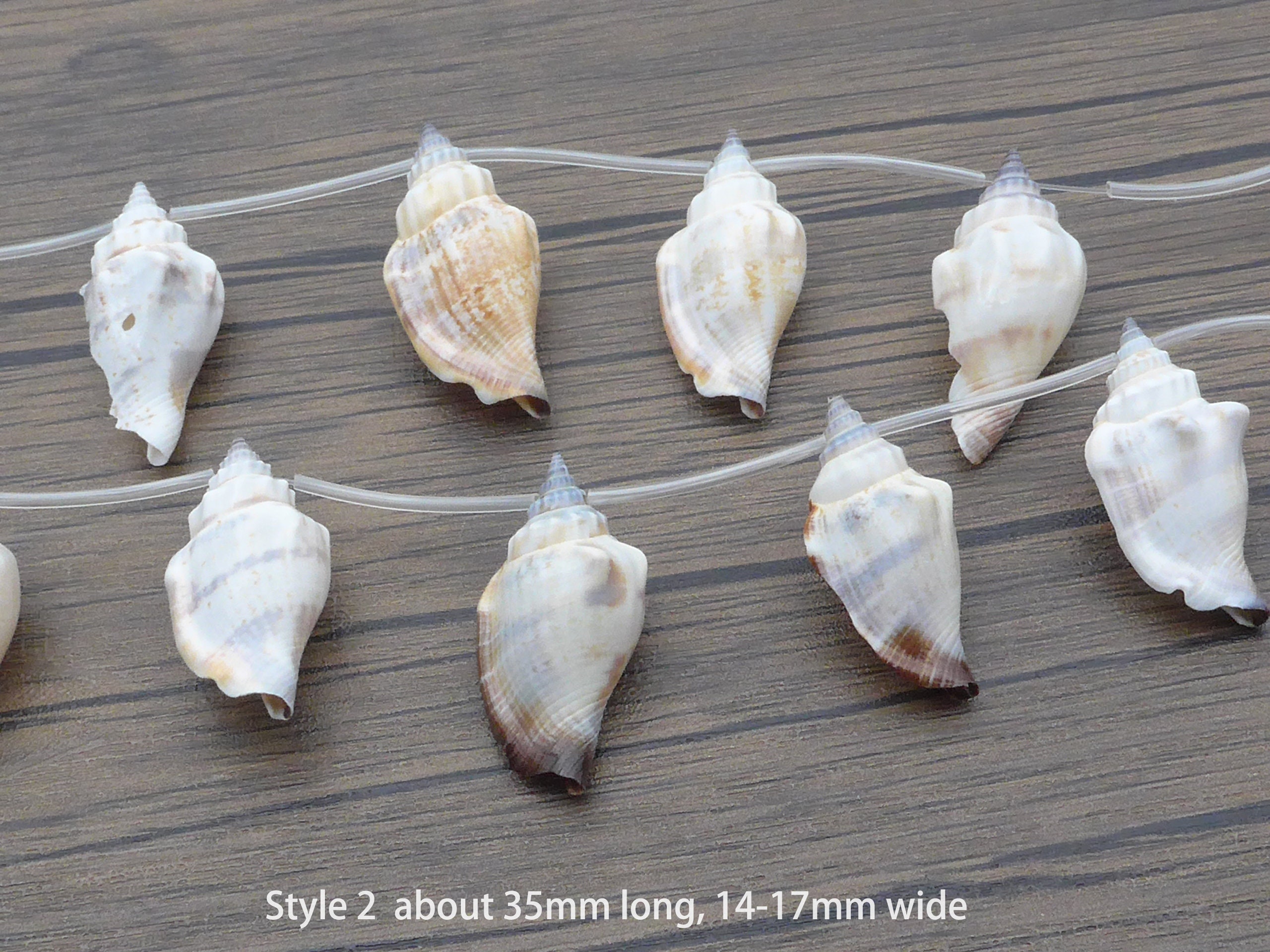 Sea Shell Pendants for Jewelry Making - Natural Seashells for Crafts ...