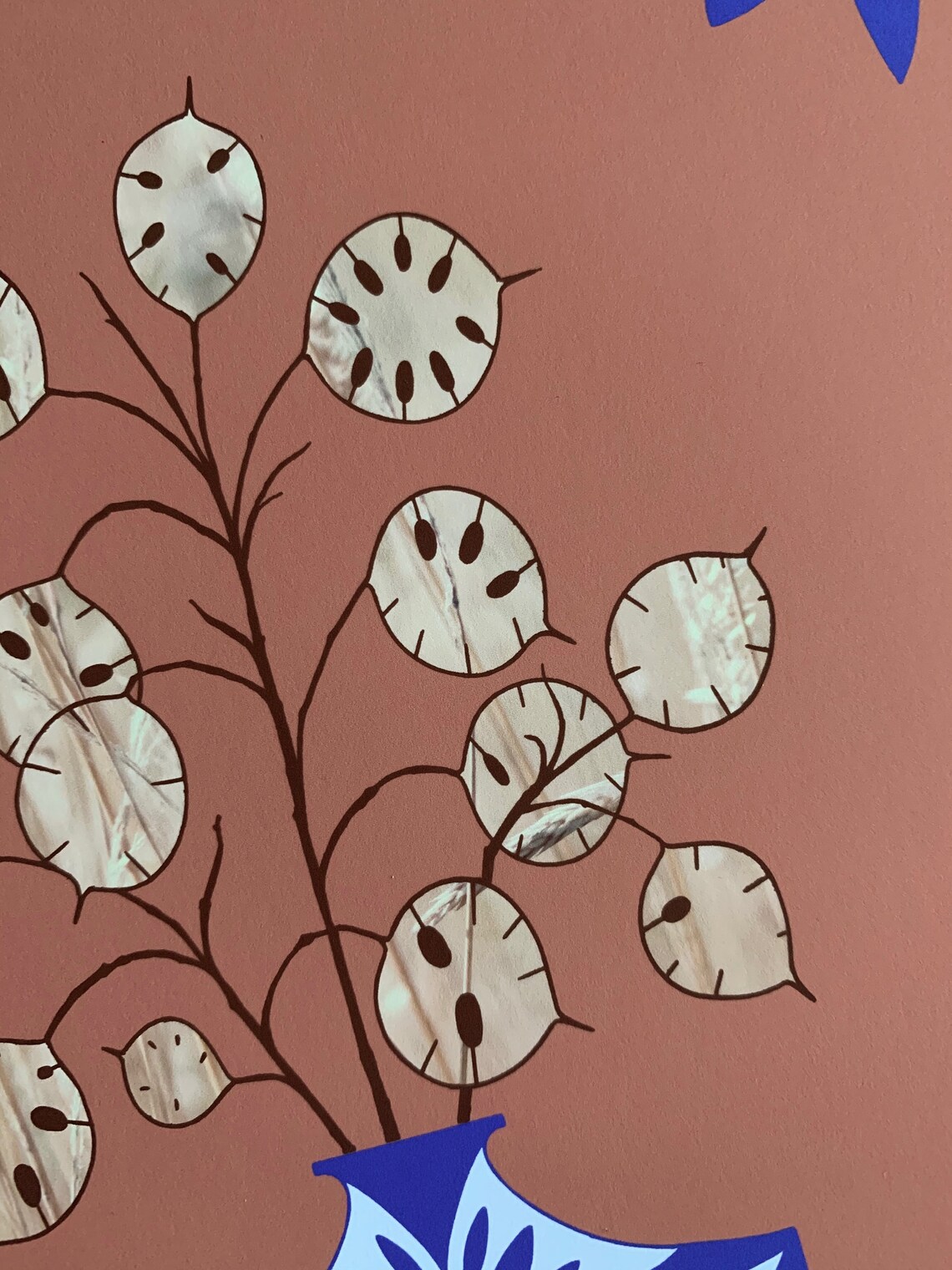 Lunaria Annua : A3 Giclée Art Print / Botanical Illustration / Urban ...