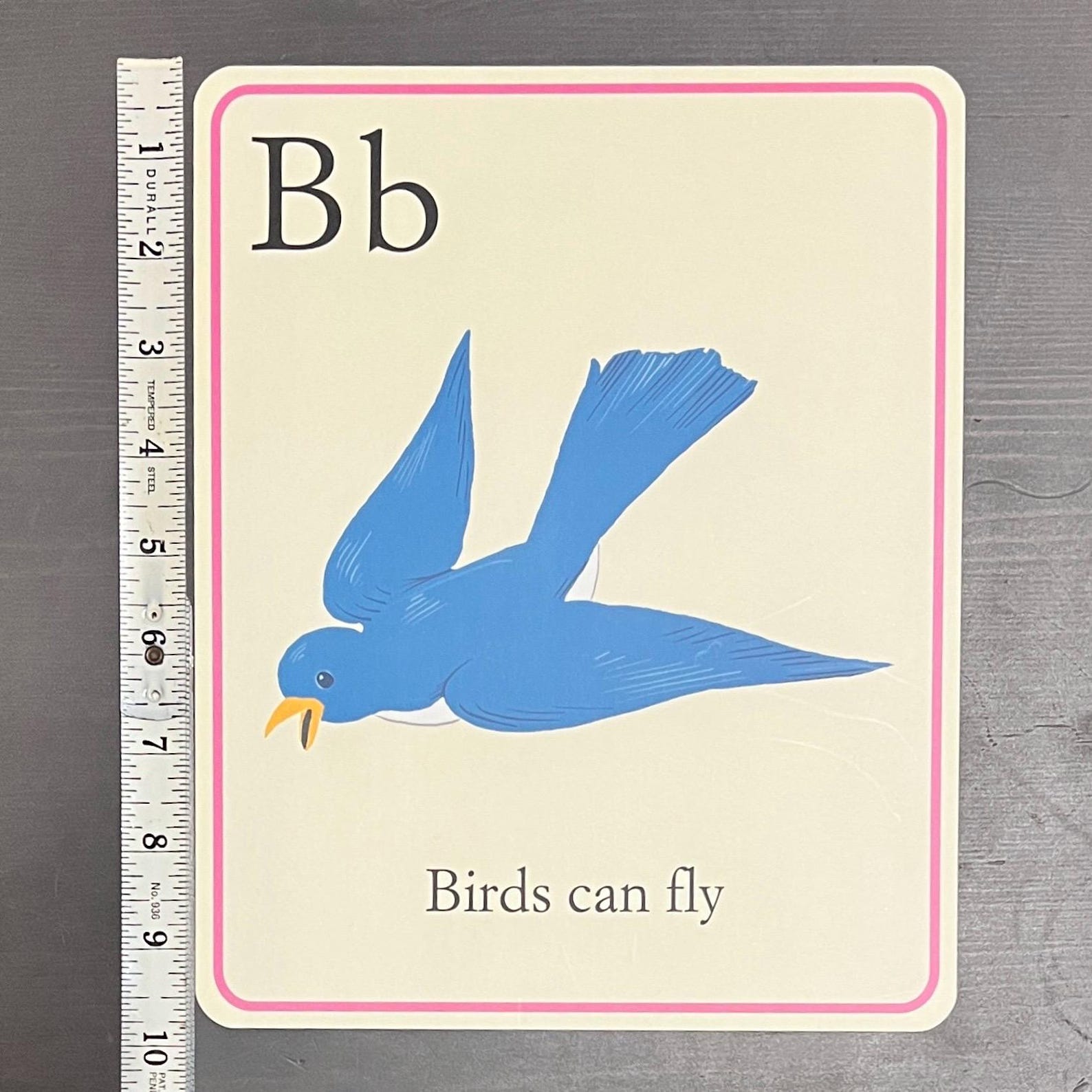 Alphabet Card ~ Read-to-me ~ Eeboo ~ Missing Letters G,i,j,l,o ~ School ...