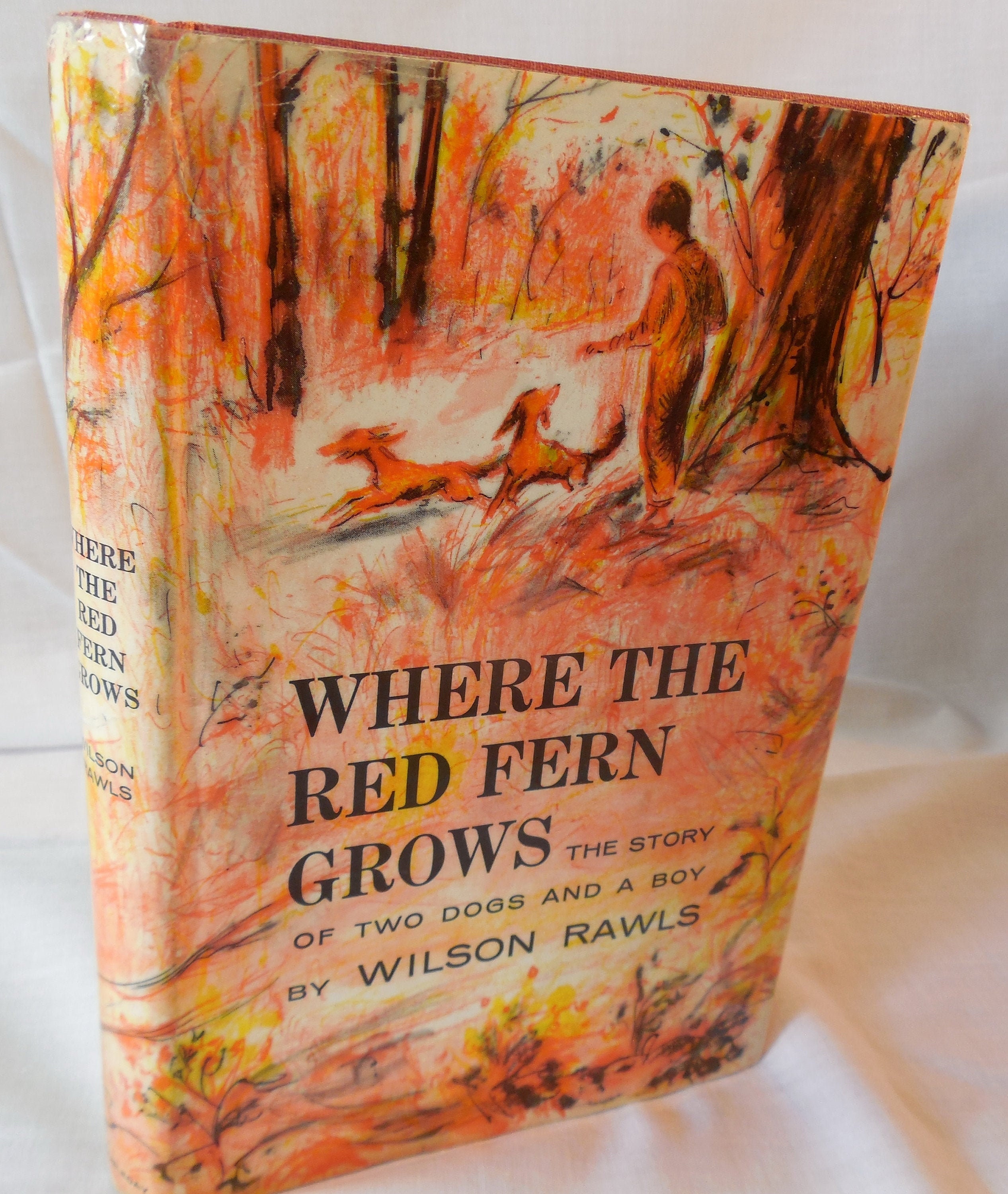 Red Fern From Where The Red Fern Grows