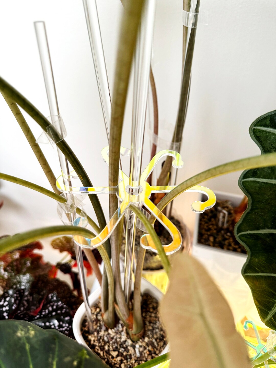 Iridescent Stem Supports - Etsy